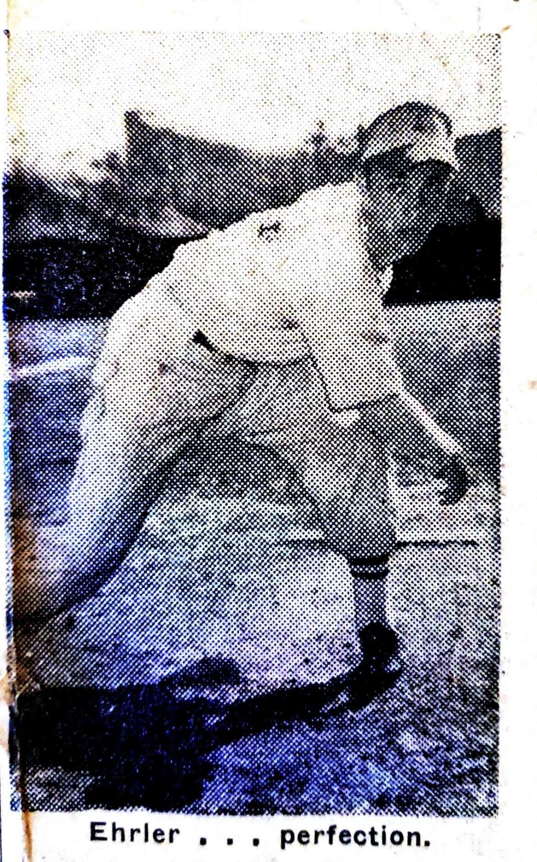 College World Series, Part I: Omaha Municipal Stadium, 1950-1963 ...